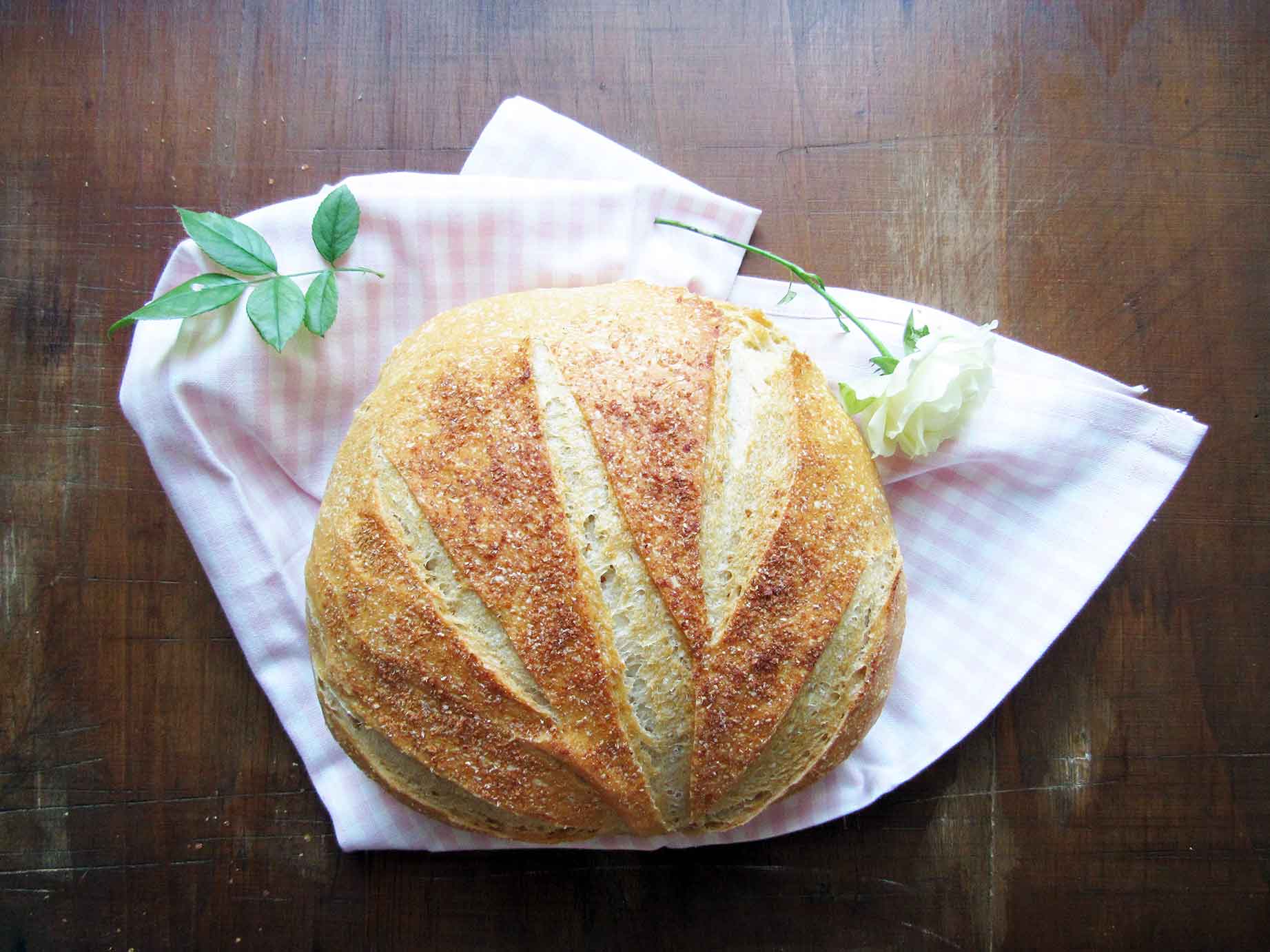 Pagnotta al germe di grano – Forno Condiviso